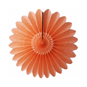 peachTissue Paper Fans | Pretty Day
