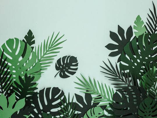 Tropical Leaves Decorations JN23 S8031 | Pretty Day